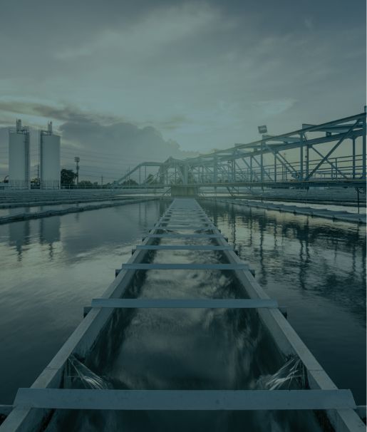I welcome the scrutiny of ESG investing, says Capricorn’s Michaela ...
